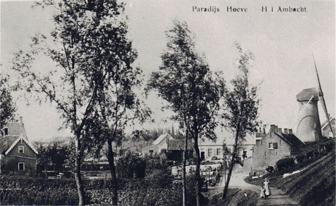 Molen van Kranendonk, Ridderkerk | Nederlandse Molendatabase