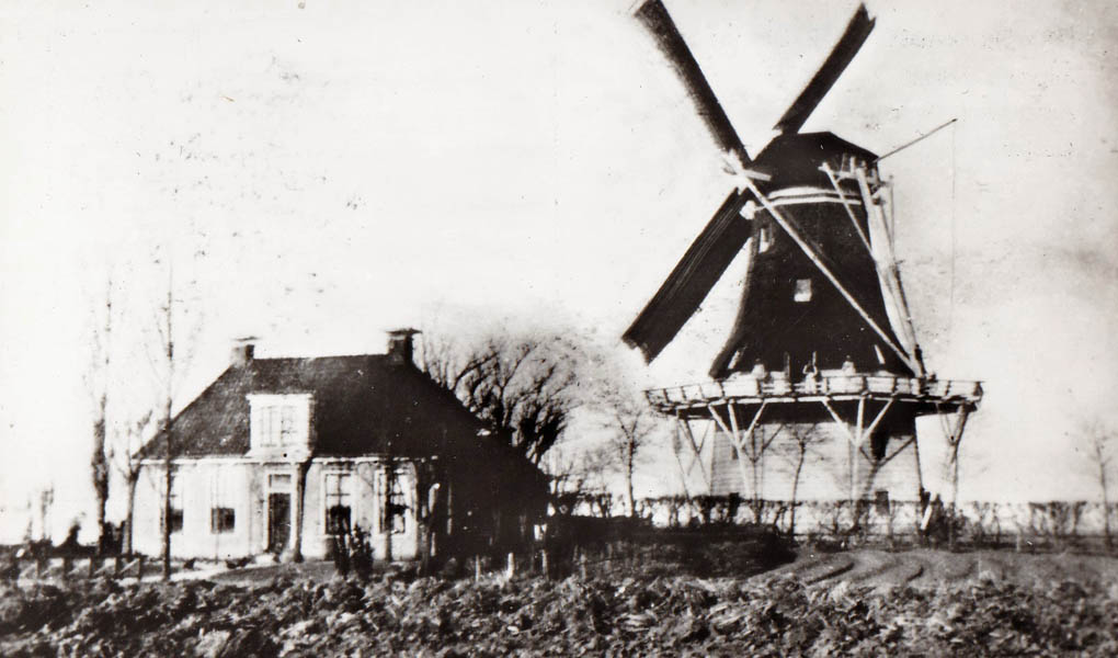 Molen De Reiger / Sijtsma's Molen, Hallum | Nederlandse Molendatabase