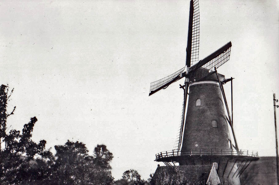 Molen Risseeuw, Groede | Nederlandse Molendatabase