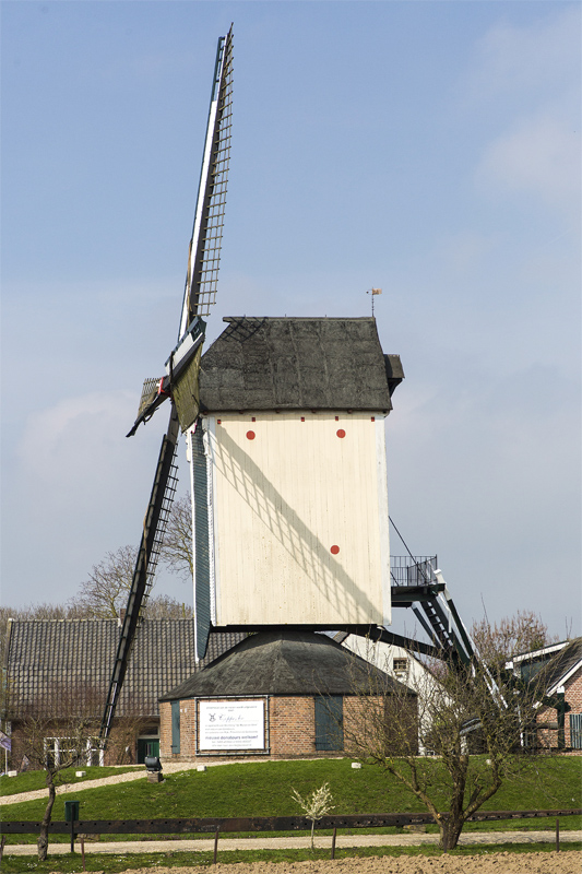 Molen De Vink, Herveld | molendatabase