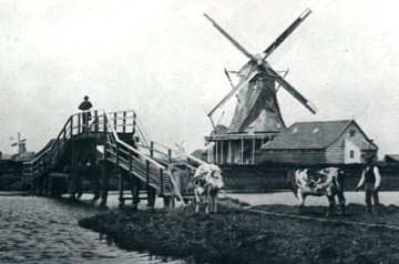 Molen De Sint Jacob / De Slabbert, Koog aan de Zaan | molendatabase
