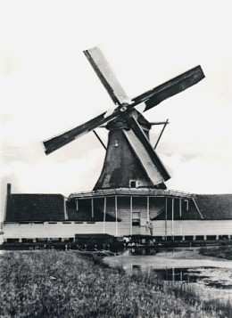 Molen De Elzenboom, Koog aan de Zaan | Nederlandse Molendatabase