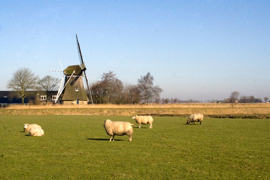 Molen Tochmaland, Kollum | Nederlandse Molendatabase