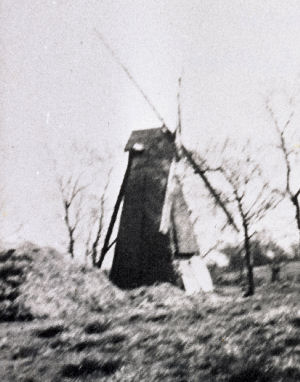 Molen van Jacob Geelhoed, Zoutelande | molendatabase