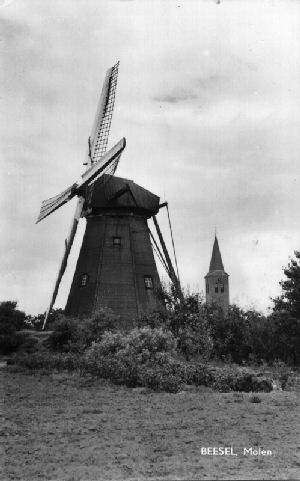 Molen De Grauwe Beer, Beesel | molendatabase