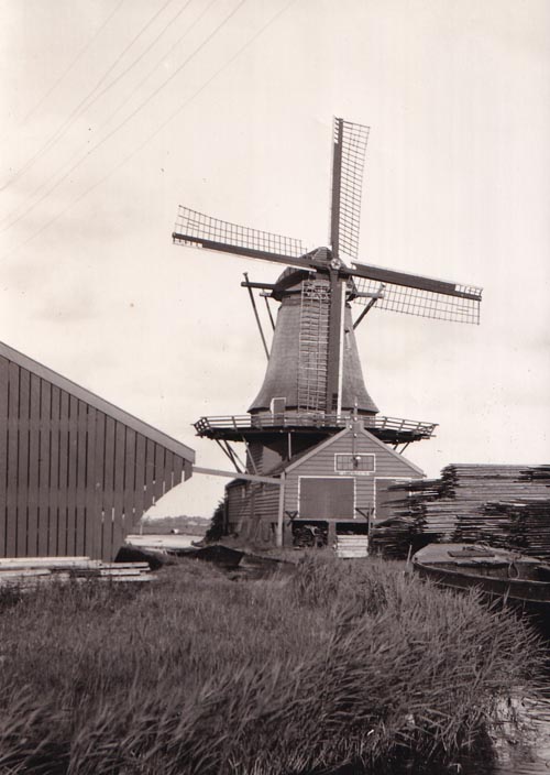 Molen Het Klaverblad, Westzaan | Nederlandse Molendatabase
