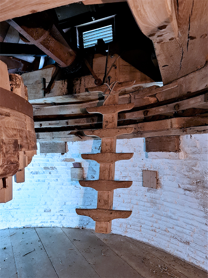 Molen De Witte Molen, Rilland-Bath | molendatabase