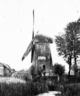 Molen Vooruit / Vooruitgang, Elshout | Nederlandse Molendatabase