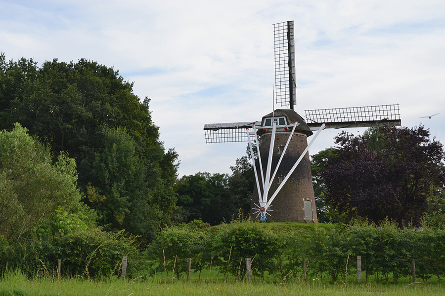 Molen Wittebrinkse Molen, Zelhem-Wittebrink | Nederlandse Molendatabase