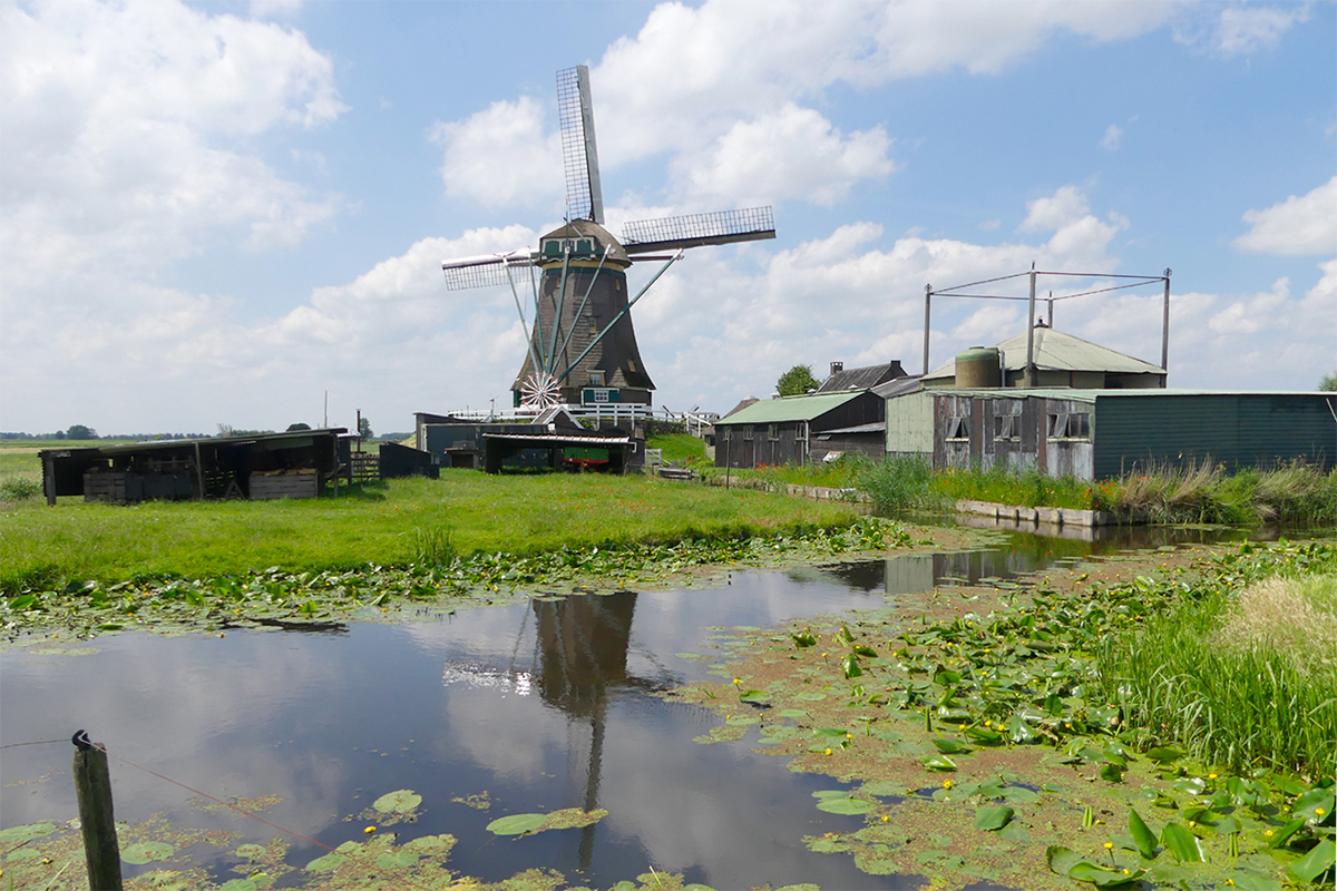 Molen De Putmolen / Molen Nr.4, Aarlanderveen | Nederlandse Molendatabase