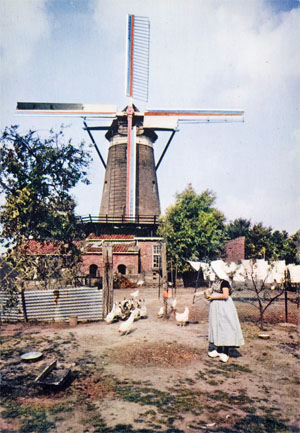 Molen Oranjemolen, Lewedorp | Nederlandse Molendatabase