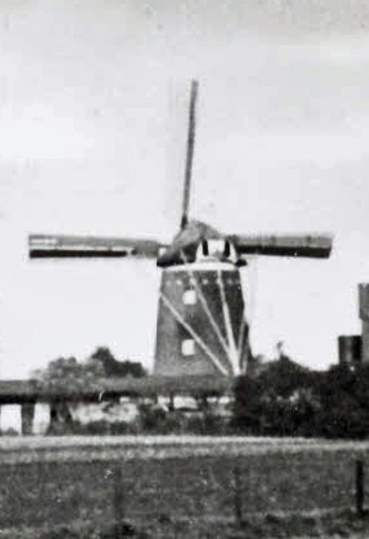Molen Coopsmolen / Molen van Coops, Halle | Nederlandse Molendatabase